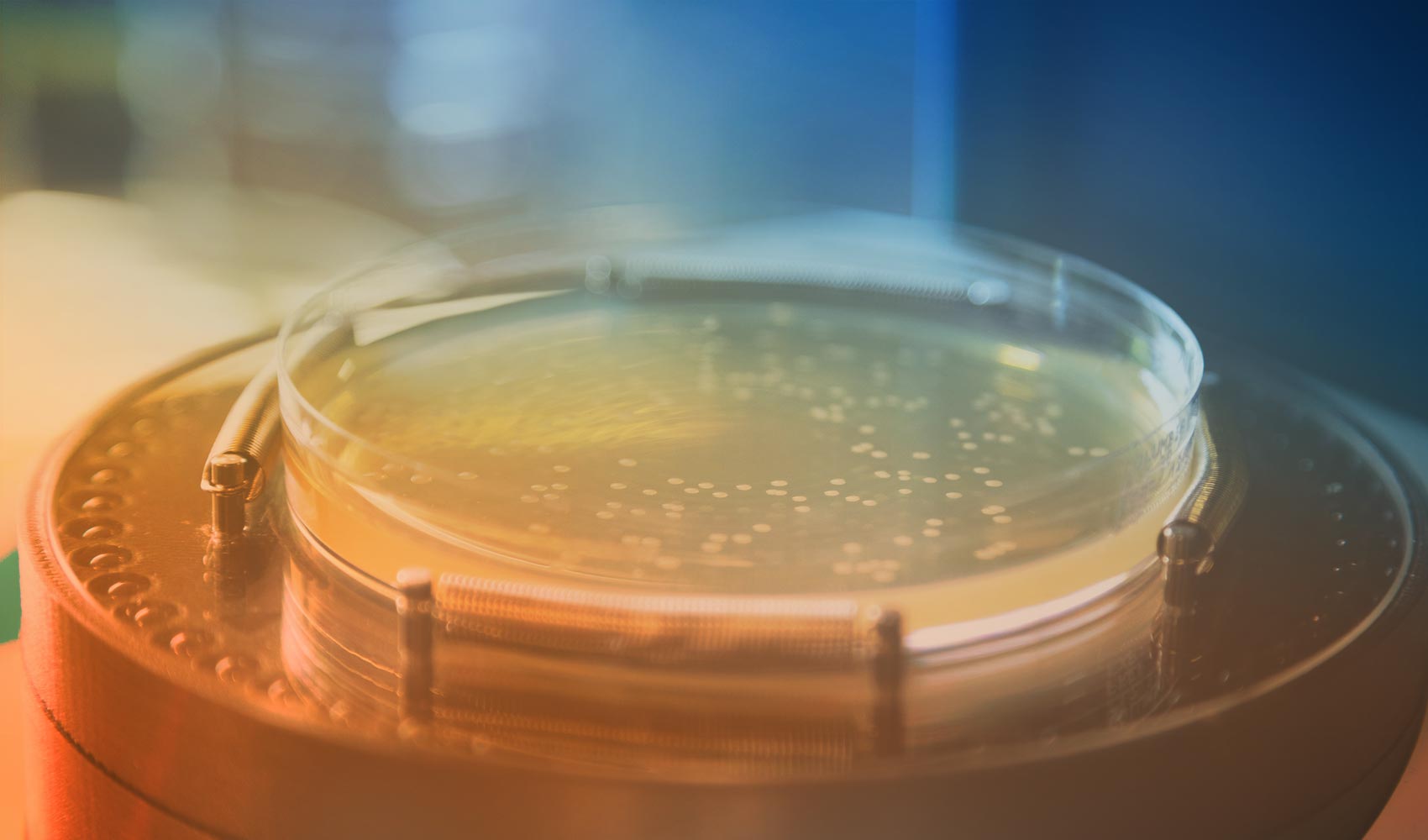 Our offer - Proveo - Antibody-drug conjugates (ADCs)