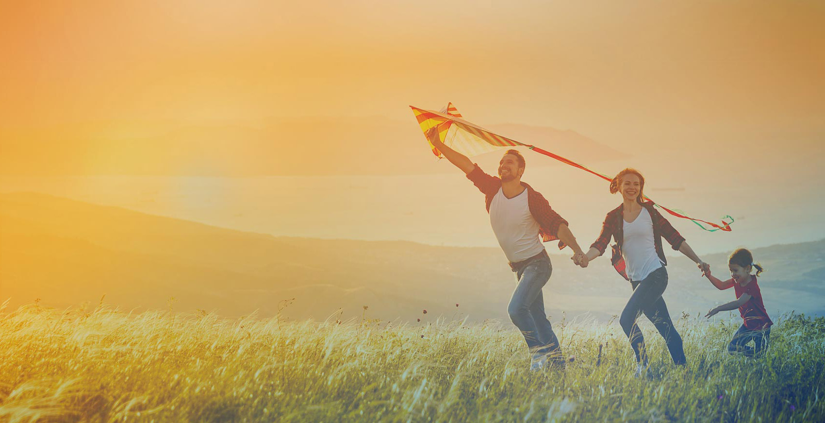 About us - Proveo - Antibody-drug Conjugates (ADCs)