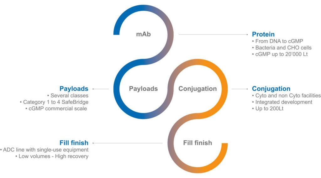 Our offer - Proveo - Antibody-drug conjugates (ADCs)